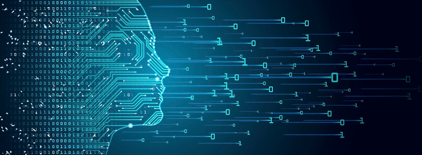 Basic Difference Between Data Science And Data Analytics Scope Palin