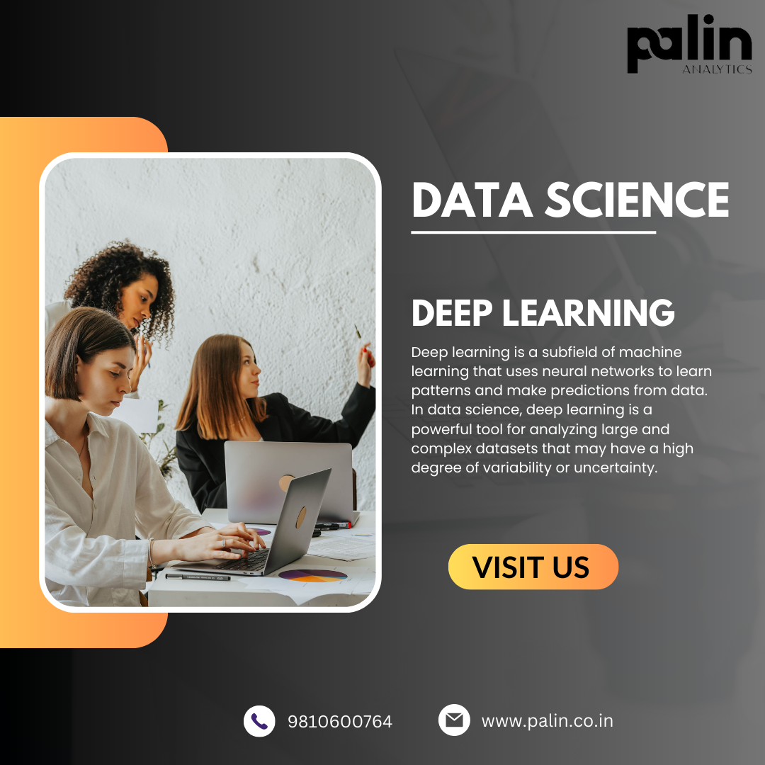 Data Science Deep Learning | Palin Analytics